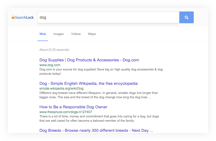 SearchLock - Protects Your Privacy While You Search the Web.